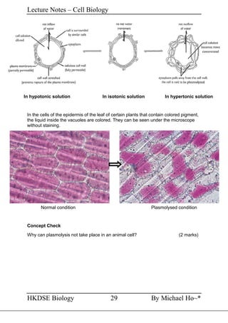 Lecture notes cell biology | PDF