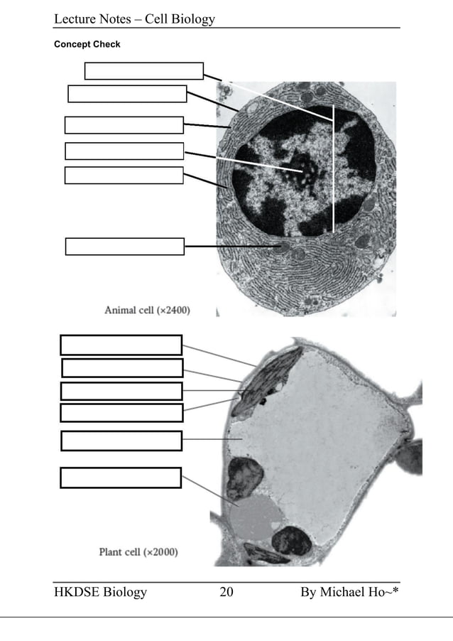 Lecture notes cell biology