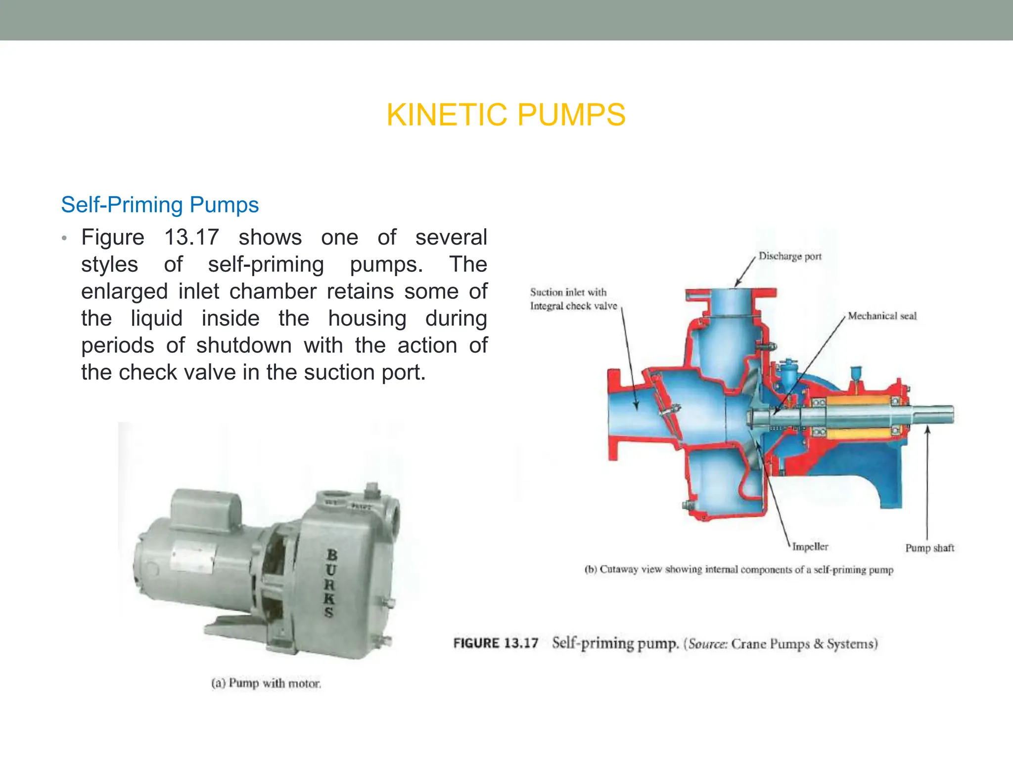 LECTURE NOTES 13.pptxLECTURE NOTES 13.pptx