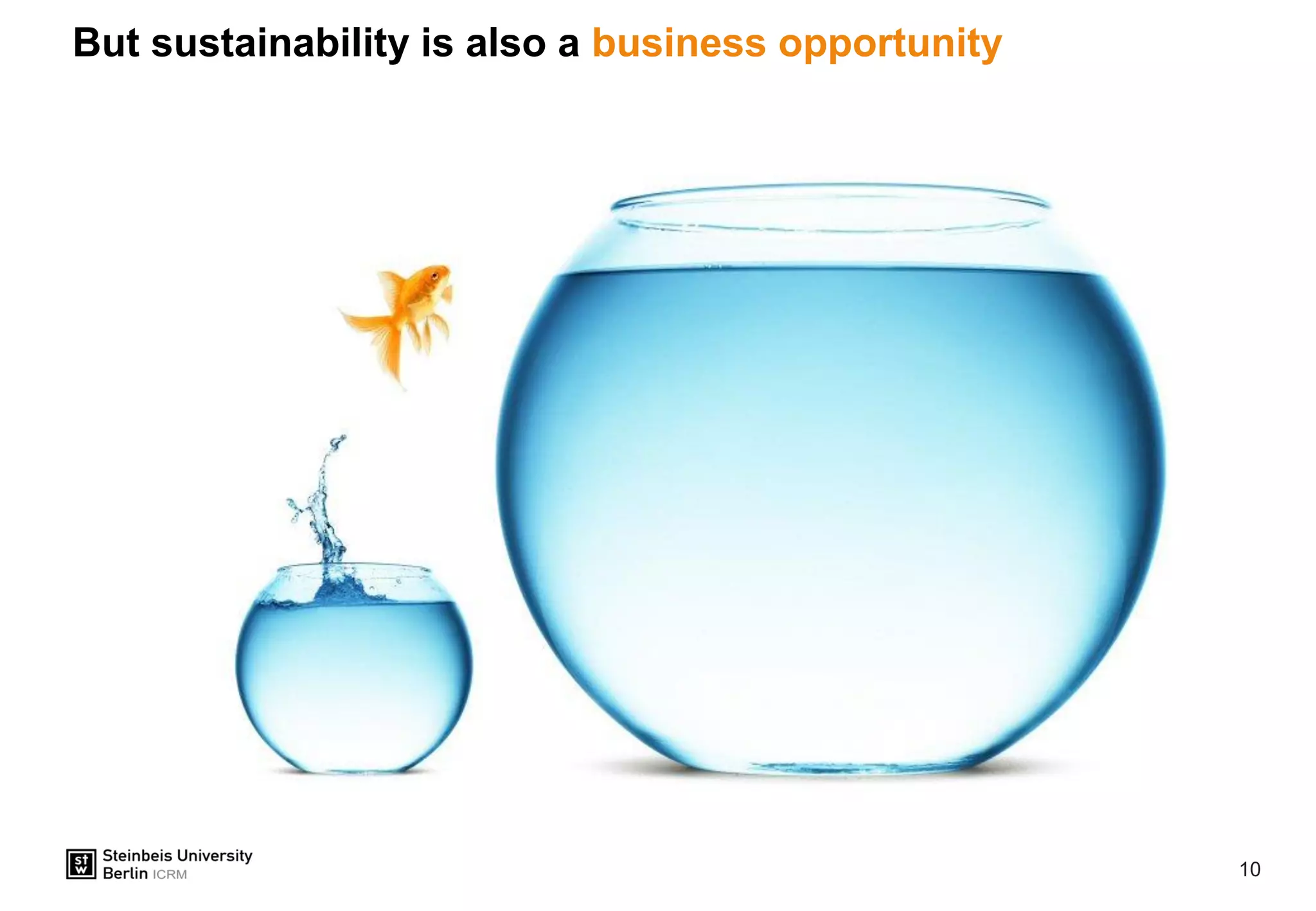 Sustainable Product & Business Model Innovation | PDF