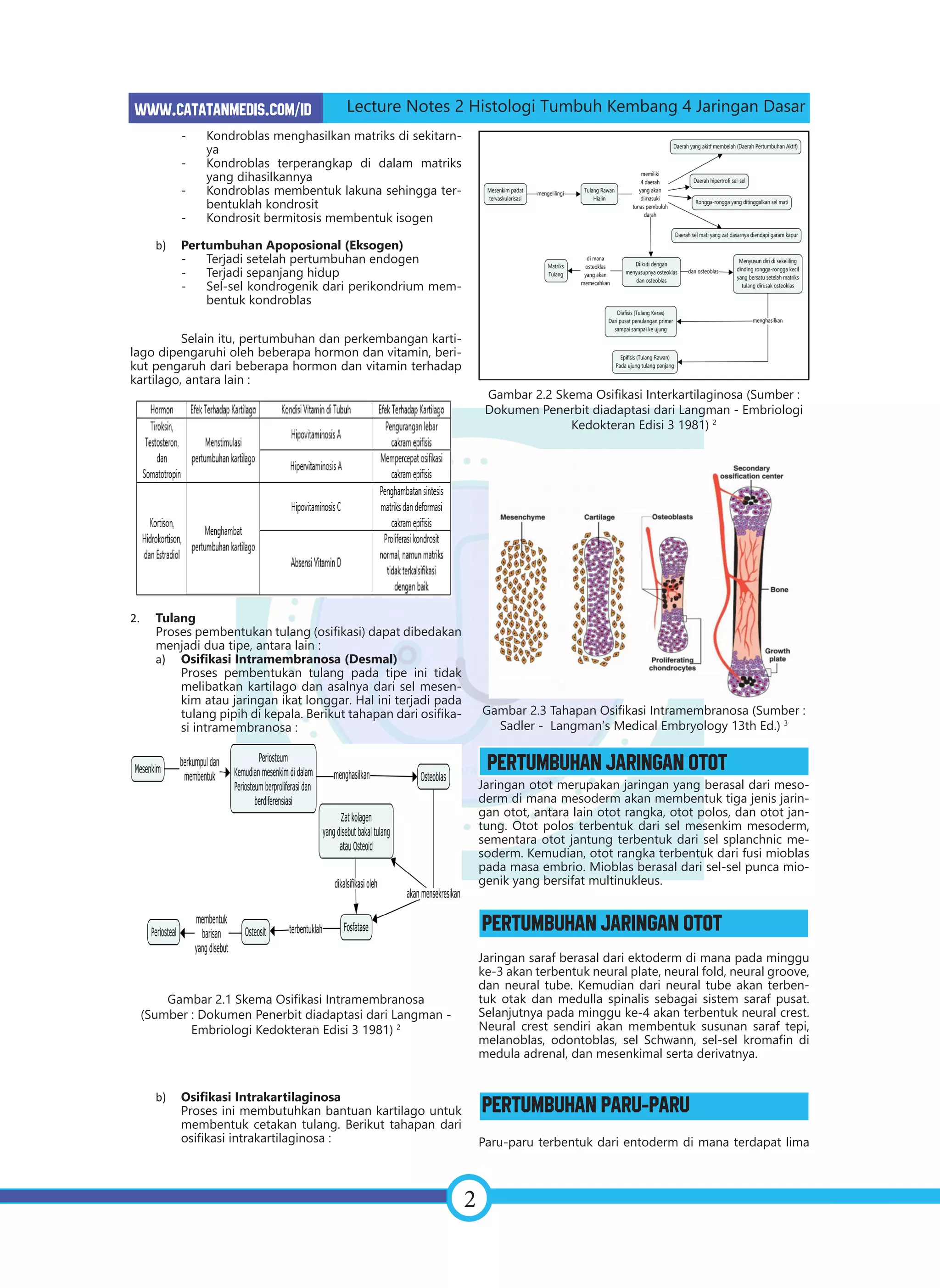 Lecture Notes 2 Histologi Tumbuh Kembang Empat Jaringan Dasar | PDF