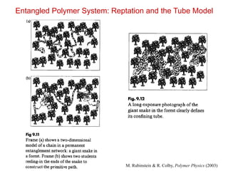 Lecture: Dynamics of Polymer Solutions and Melts | PDF