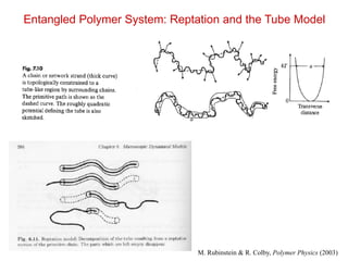 Lecture: Dynamics of Polymer Solutions and Melts | PDF