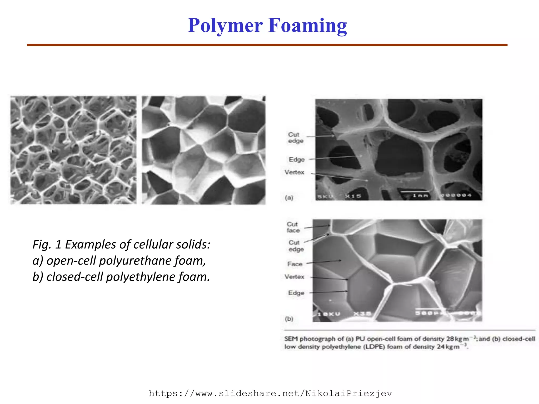 Lecture: Polymer Processing | PDF