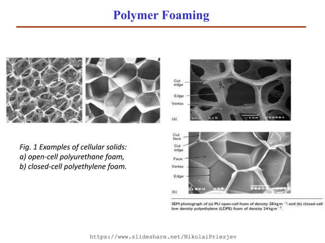 Lecture: Polymer Processing | PDF | Chemistry | Science