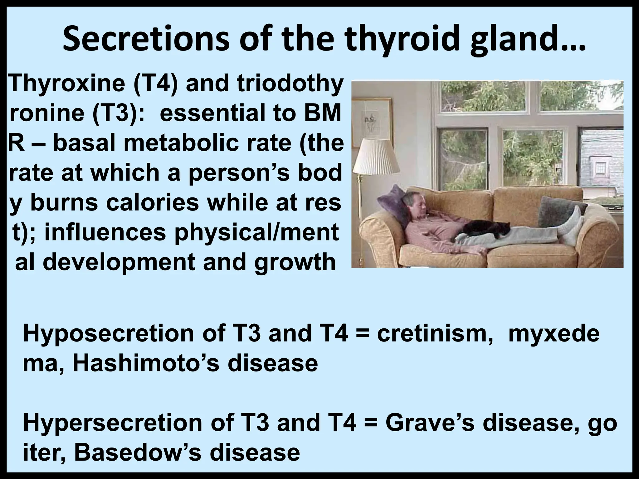 Lecture Notes Endocrine-System.ppt