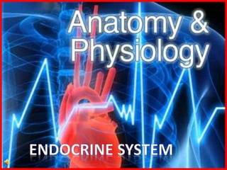 Lecture Notes Endocrine-System.ppt