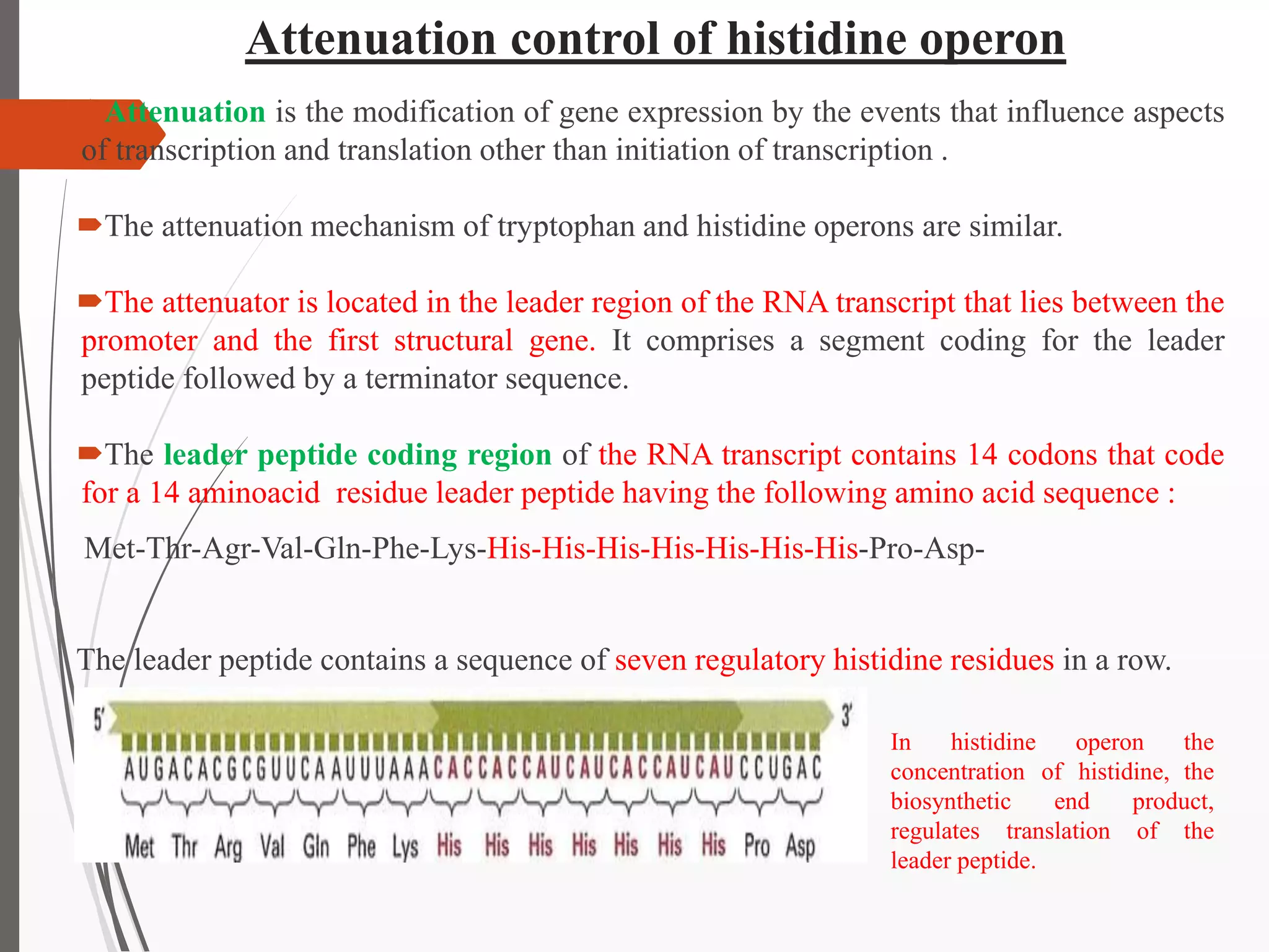 Histidine operon | PDF