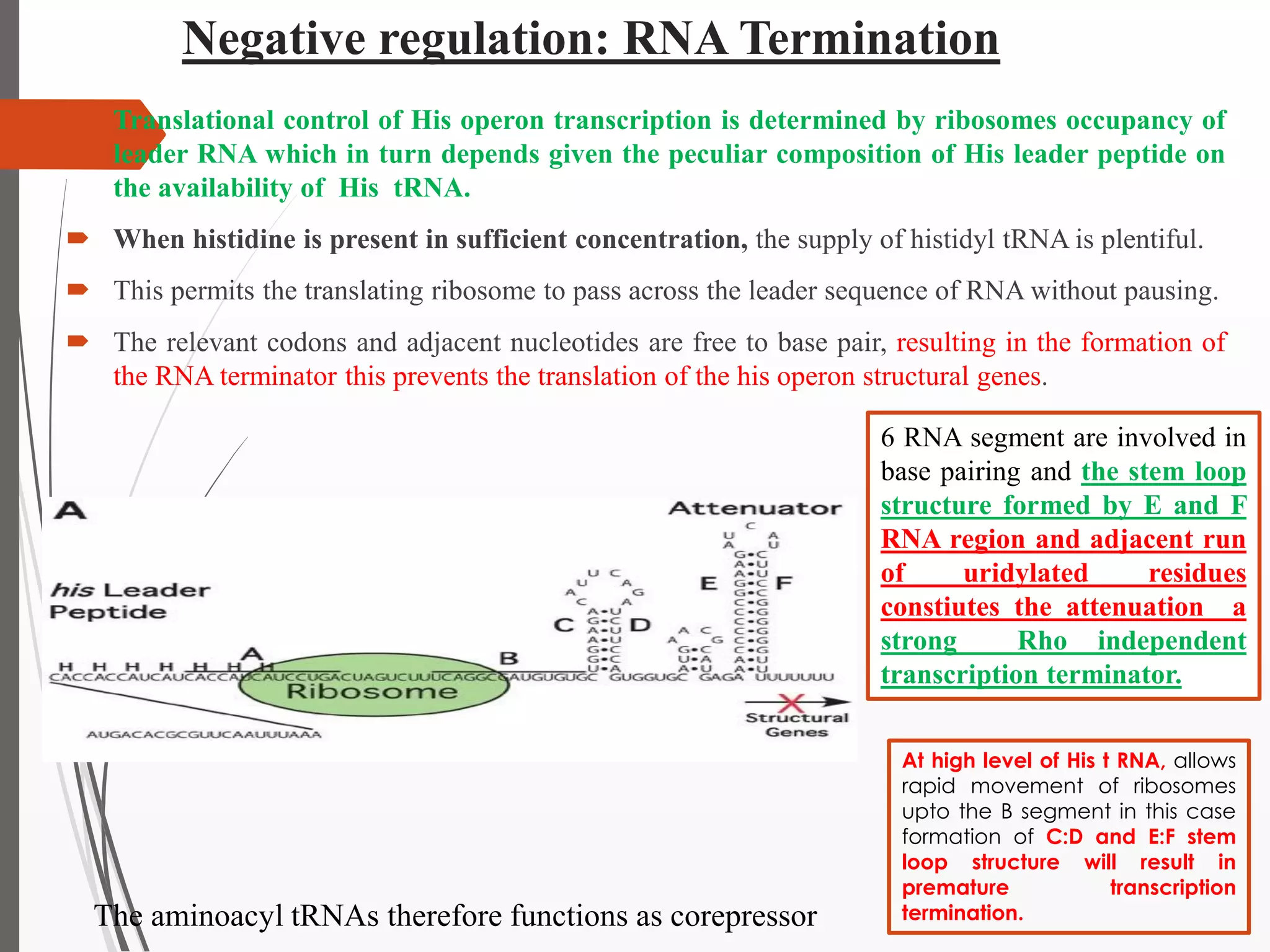 Histidine operon | PDF