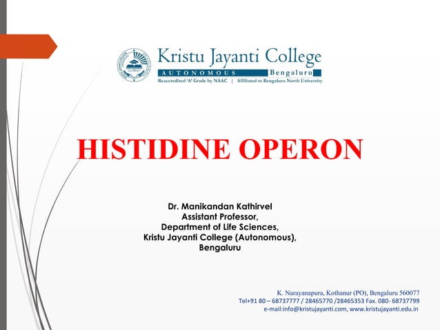 Histidine operon | PDF | Chemistry | Science