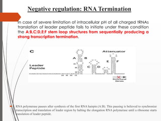 Histidine operon | PDF