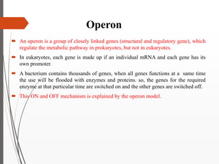 Histidine operon | PDF