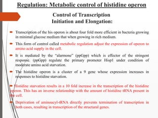 Histidine operon | PDF