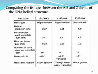 Lecture notes on dna and rna for submission | PPT
