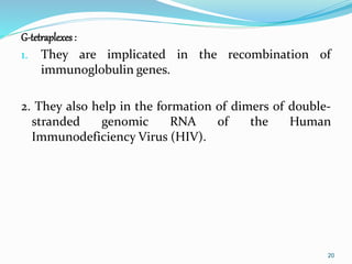 Lecture notes on dna and rna for submission | PPT