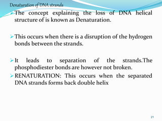 Lecture notes on dna and rna for submission | PPT