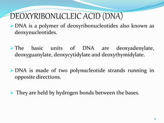 Lecture notes on dna and rna for submission | PPT
