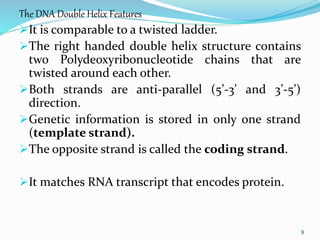Lecture notes on dna and rna for submission | PPT