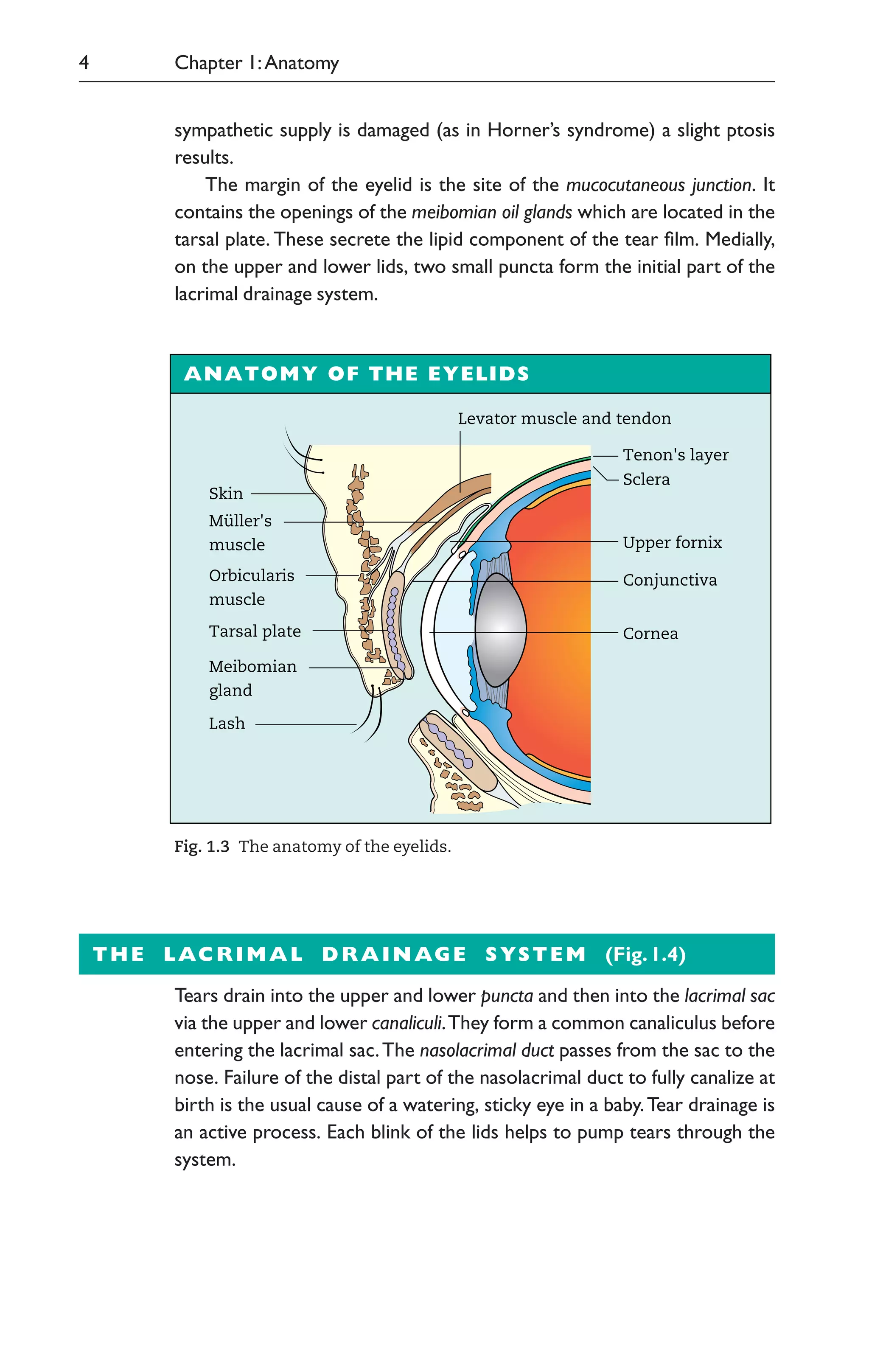 Lecture Notes on Ophthalmology.pdf