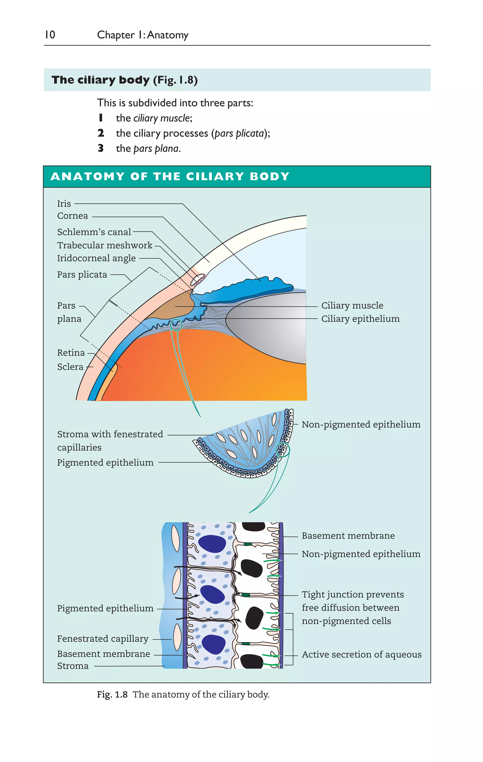 Lecture Notes on Ophthalmology.pdf