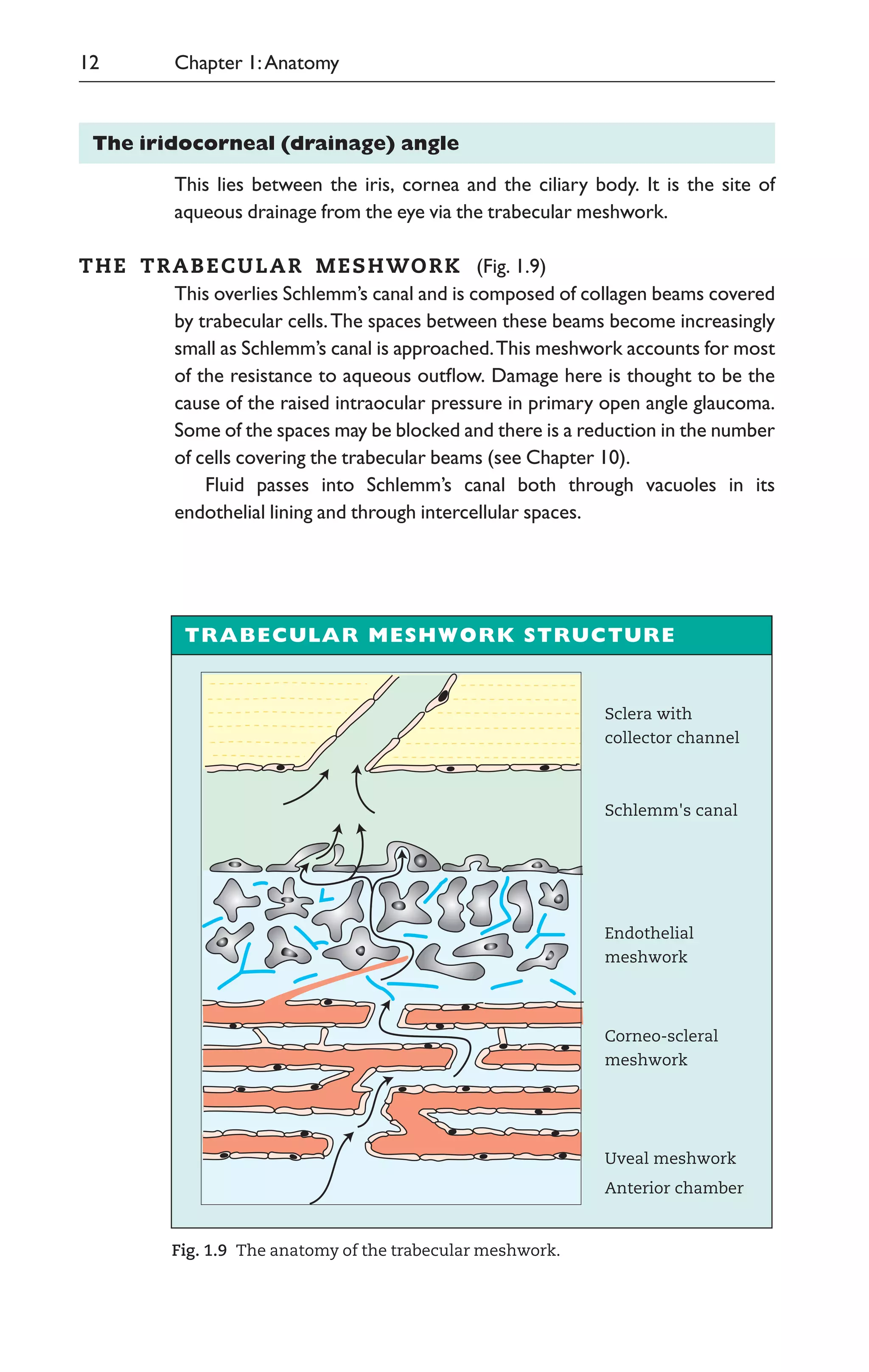 Lecture Notes on Ophthalmology.pdf