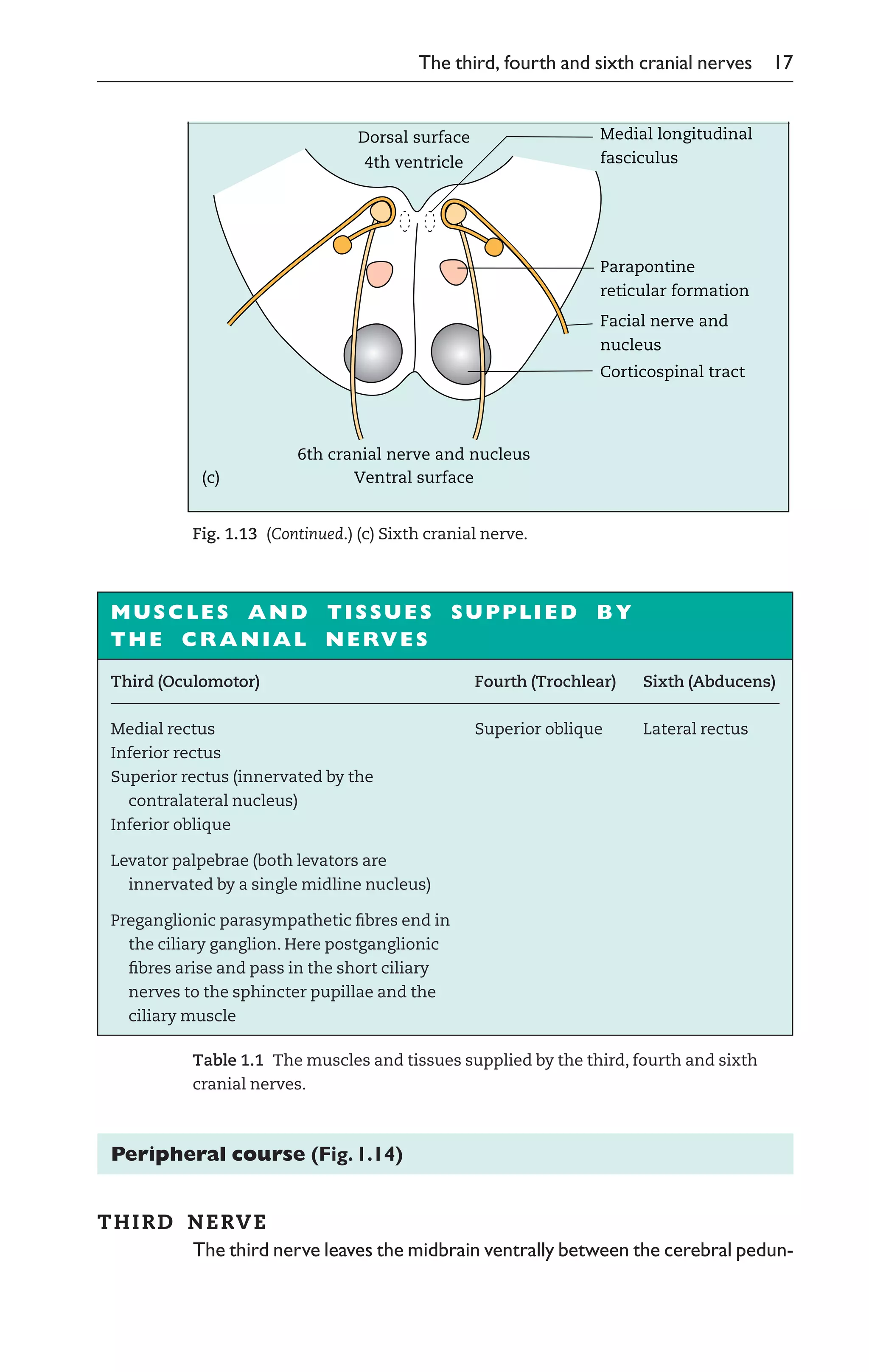 Lecture Notes on Ophthalmology.pdf