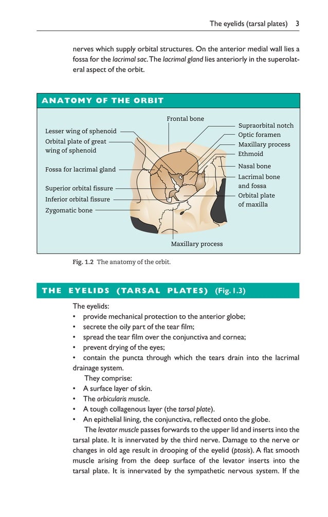 Lecture Notes on Ophthalmology.pdf