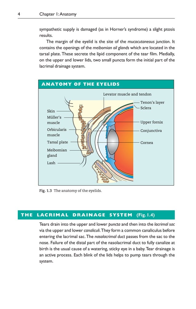 Lecture Notes on Ophthalmology.pdf
