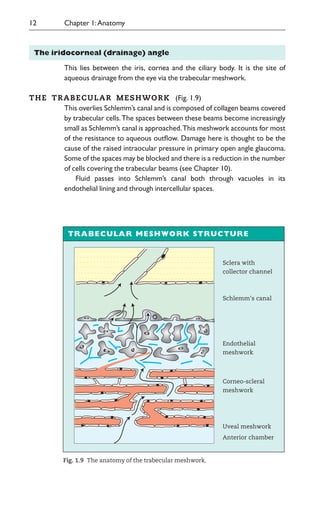 Lecture Notes on Ophthalmology.pdf