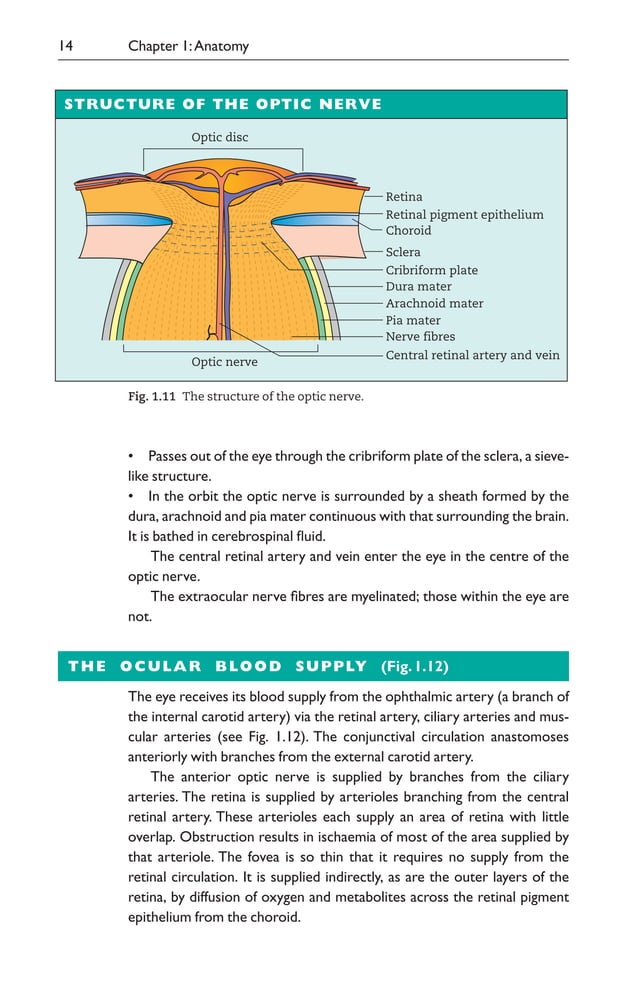 Lecture Notes on Ophthalmology.pdf