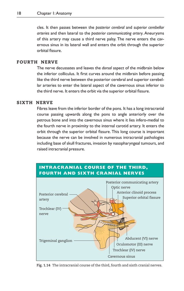 Lecture Notes on Ophthalmology.pdf