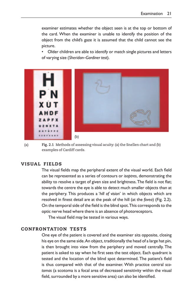 Lecture Notes on Ophthalmology.pdf