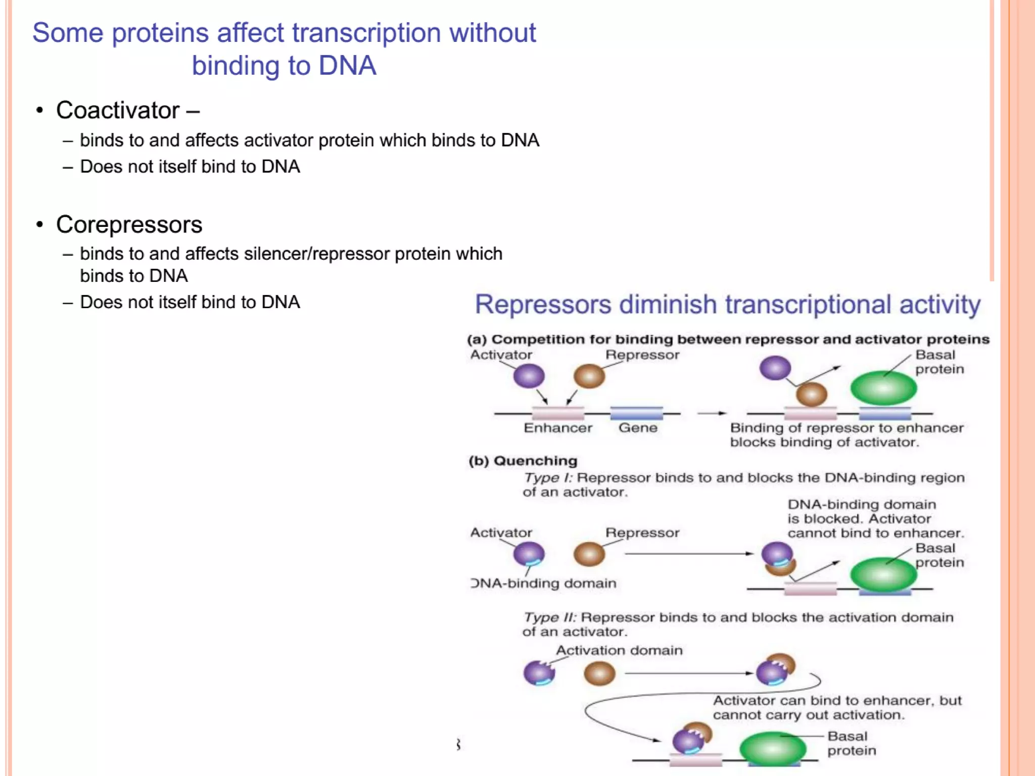 Regulation of gene expression in eukaryotes | PDF