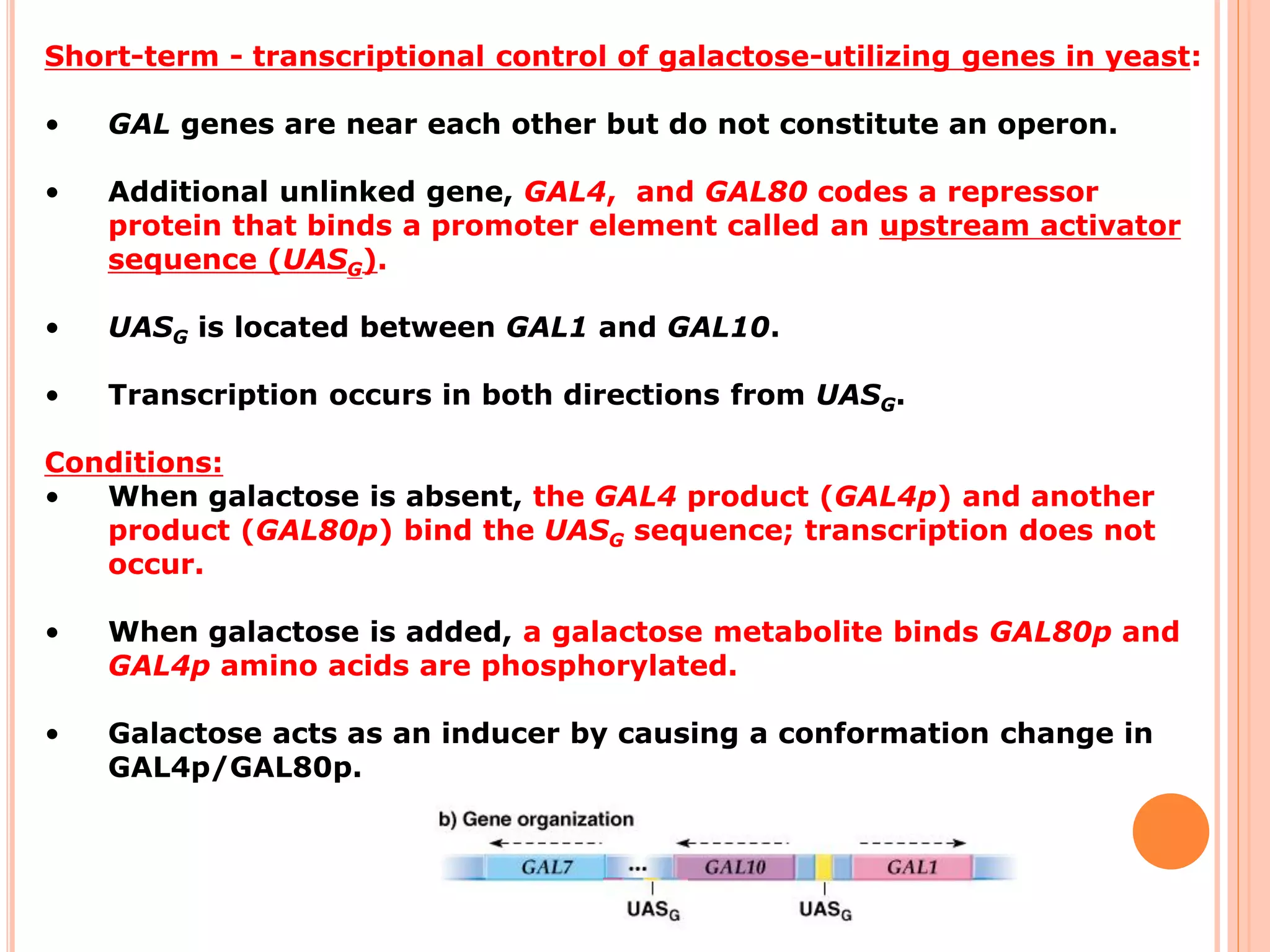 Regulation of gene expression in eukaryotes | PDF