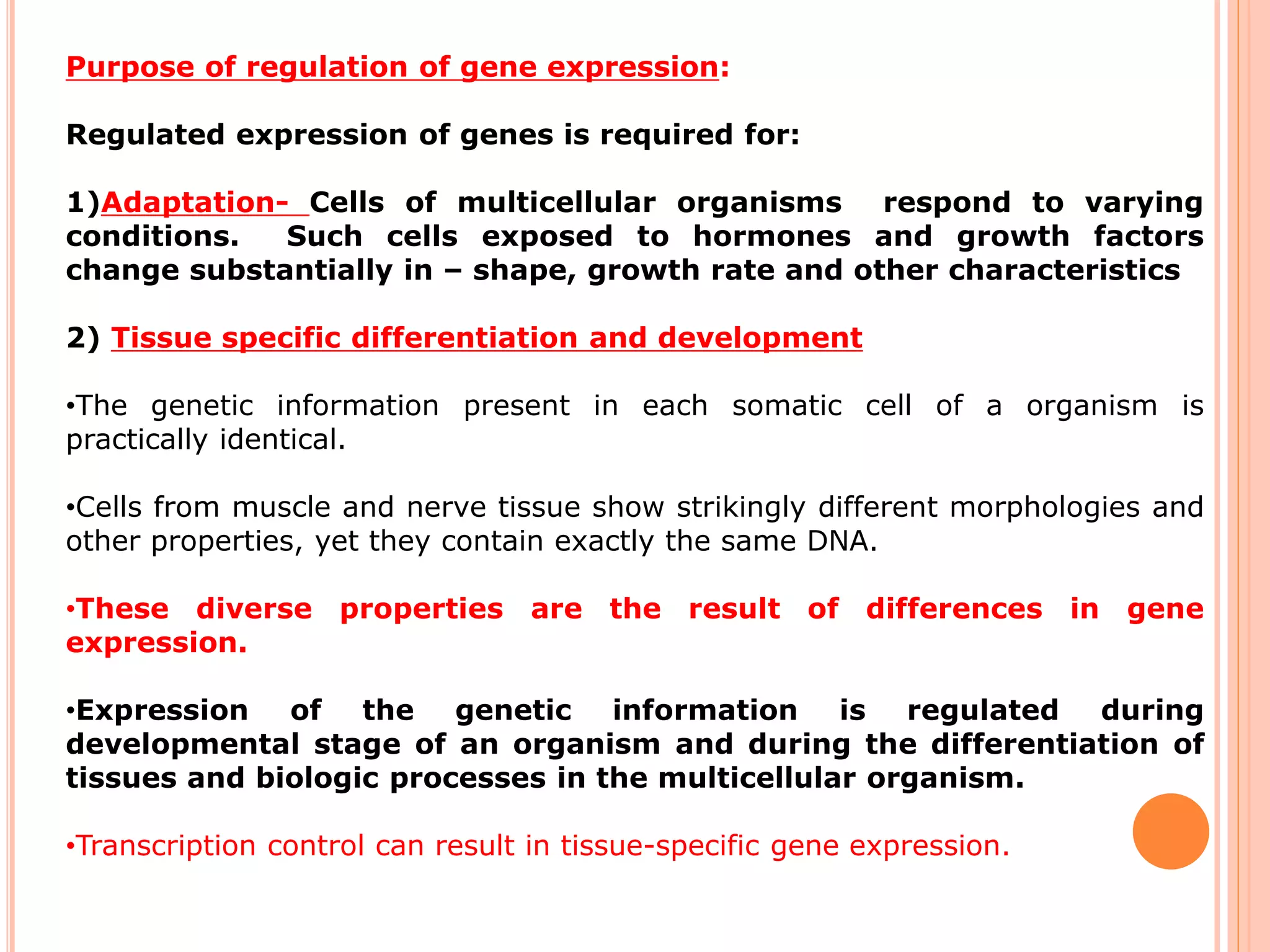 Regulation of gene expression in eukaryotes | PDF