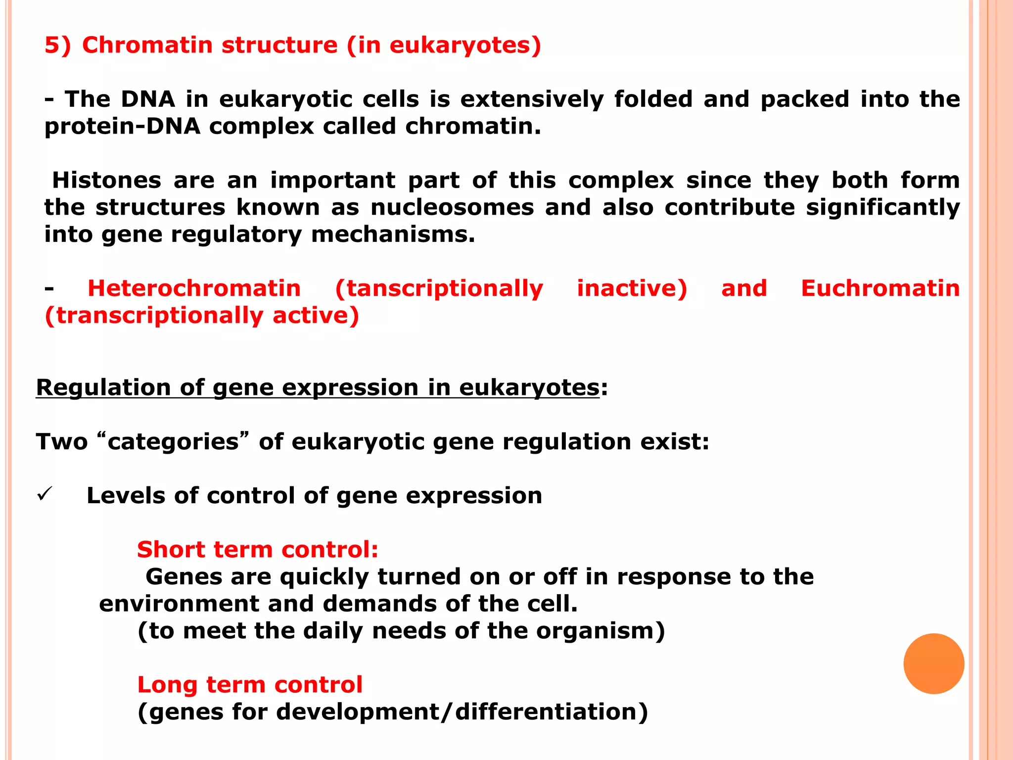 Regulation of gene expression in eukaryotes | PDF