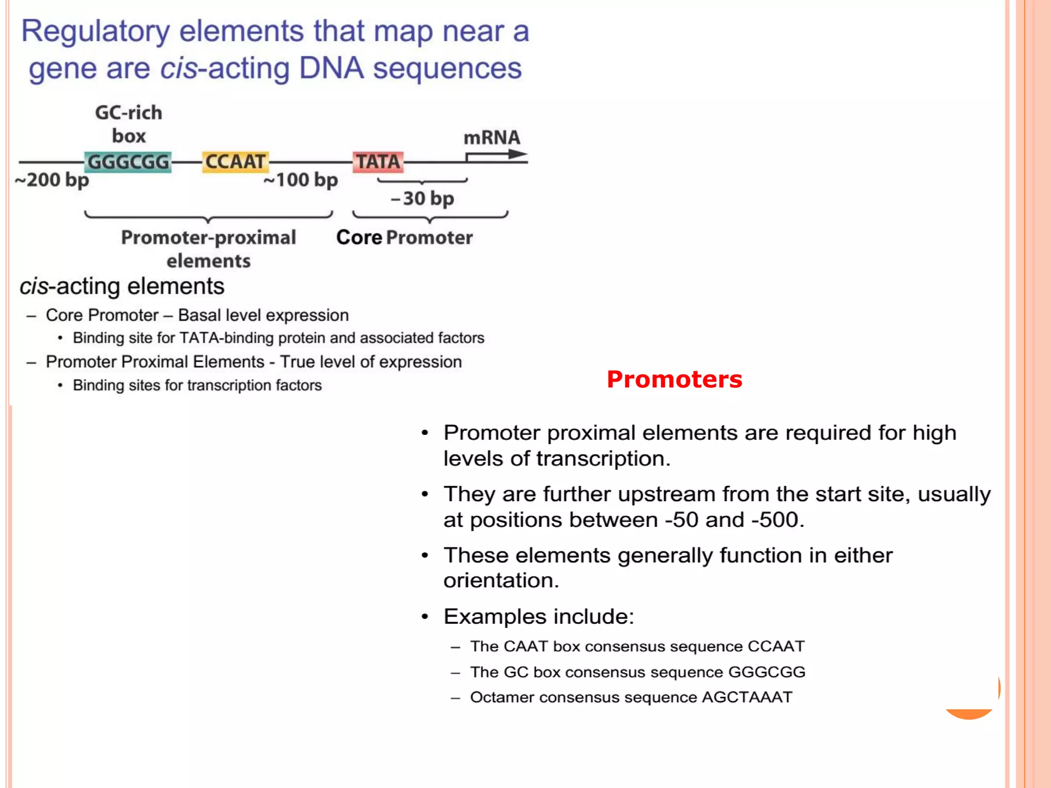 Regulation of gene expression in eukaryotes | PDF
