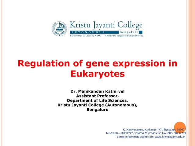 Regulation of gene expression in eukaryotes | PDF