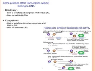 Regulation of gene expression in eukaryotes | PDF