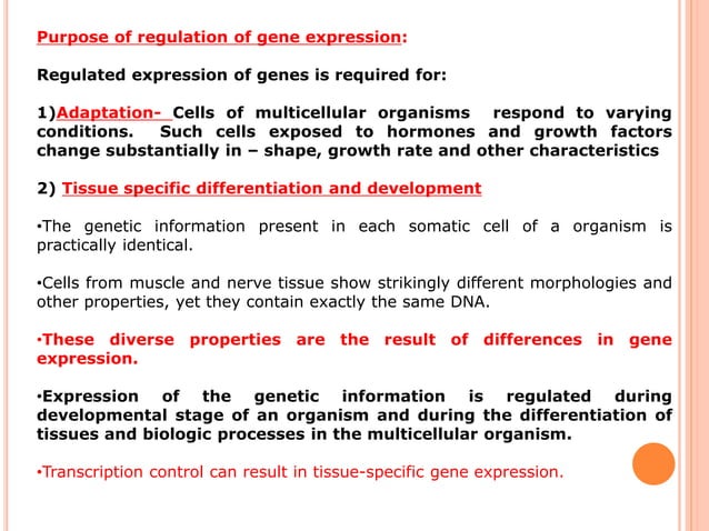 Regulation of gene expression in eukaryotes | PDF