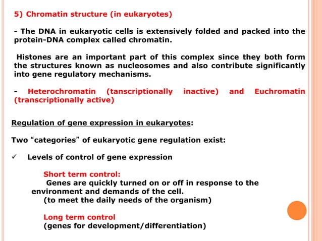 Regulation of gene expression in eukaryotes | PDF