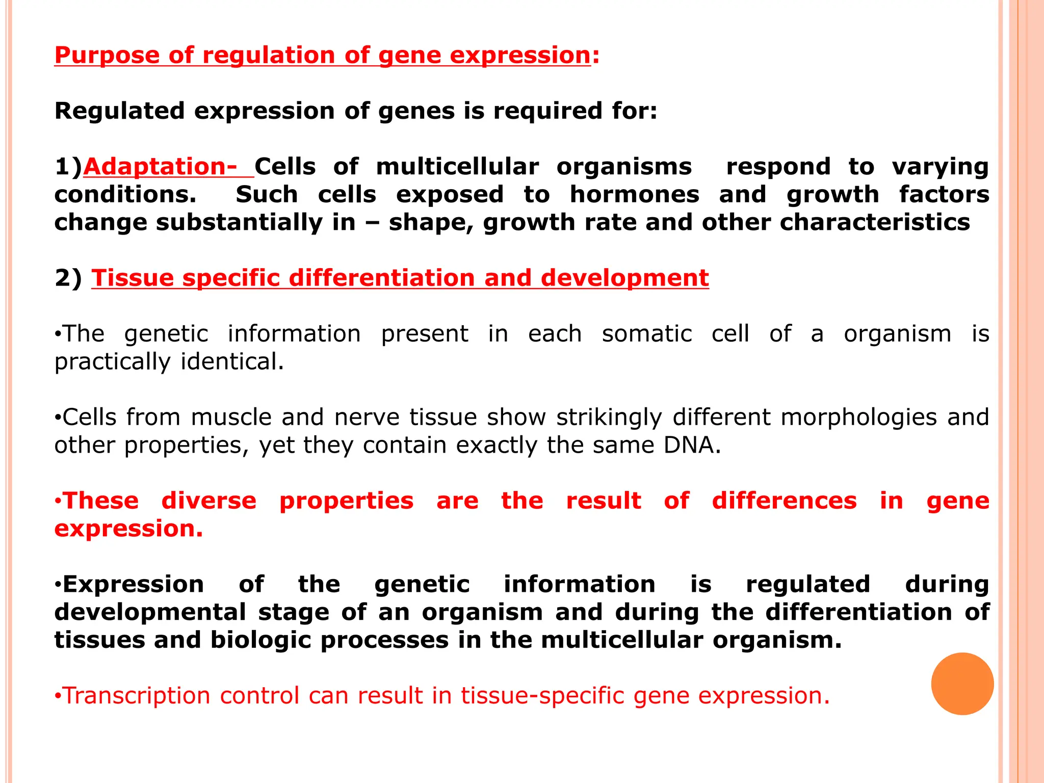 Lecture notes GENE REGULATION IN EUKARYOTES.pdf
