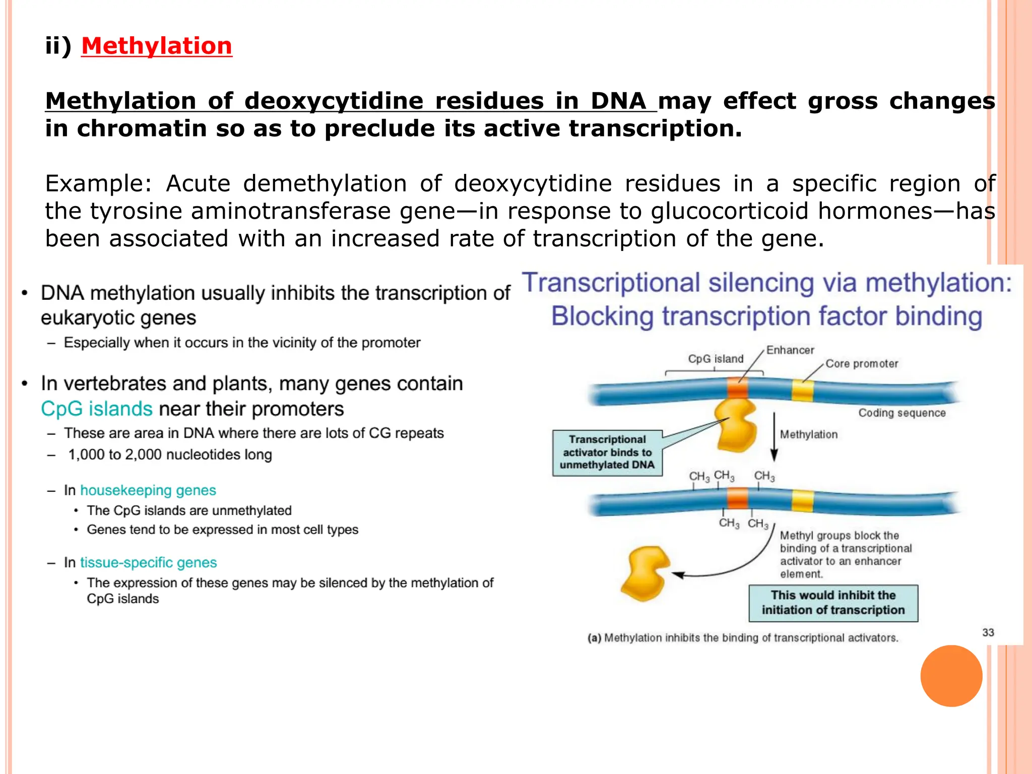 Lecture notes GENE REGULATION IN EUKARYOTES.pdf