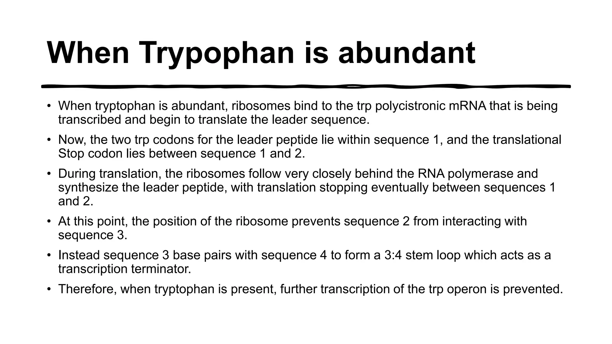 Lecture notes_Tryptophan operon and its regulation.pdf