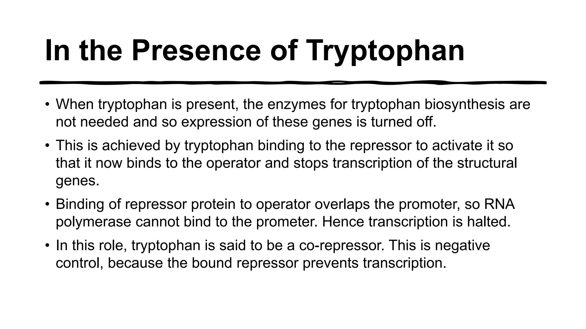 Lecture notes_Tryptophan operon and its regulation.pdf