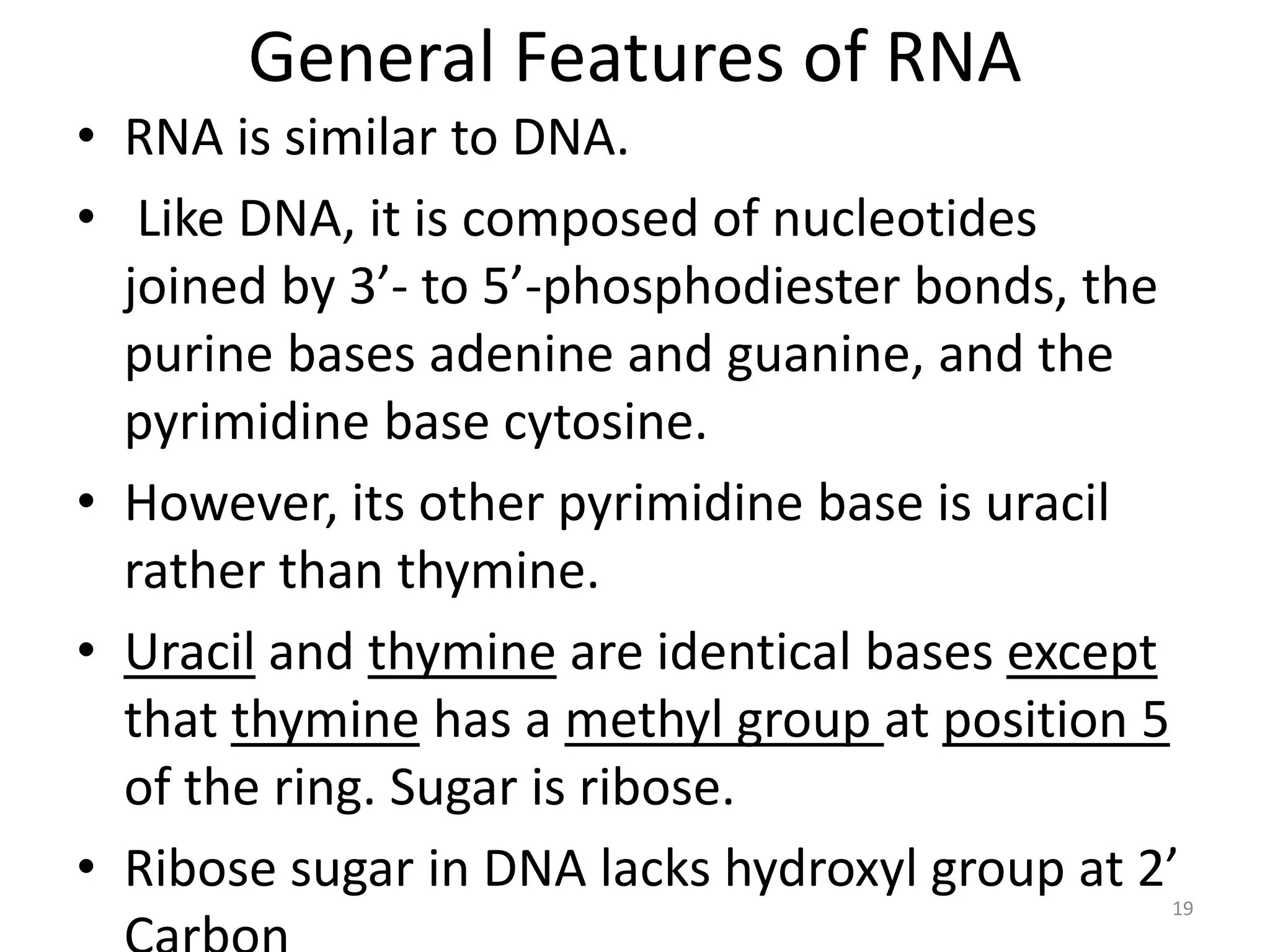 Lecture_Nucleic acids.ppt
