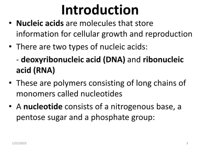 Lecture_Nucleic acids.ppt