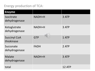 lecture__of_cac_.pptx educational program | PPTX | Chemistry | Science