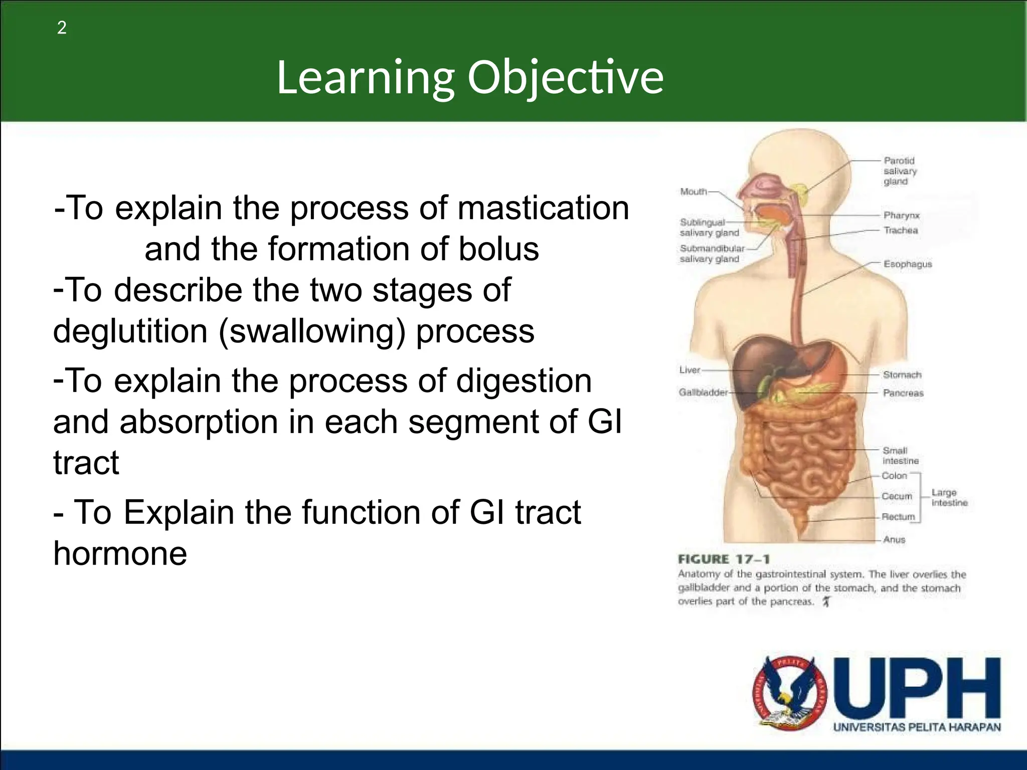 Lecture of upper Gatrointesinal tract.ppt