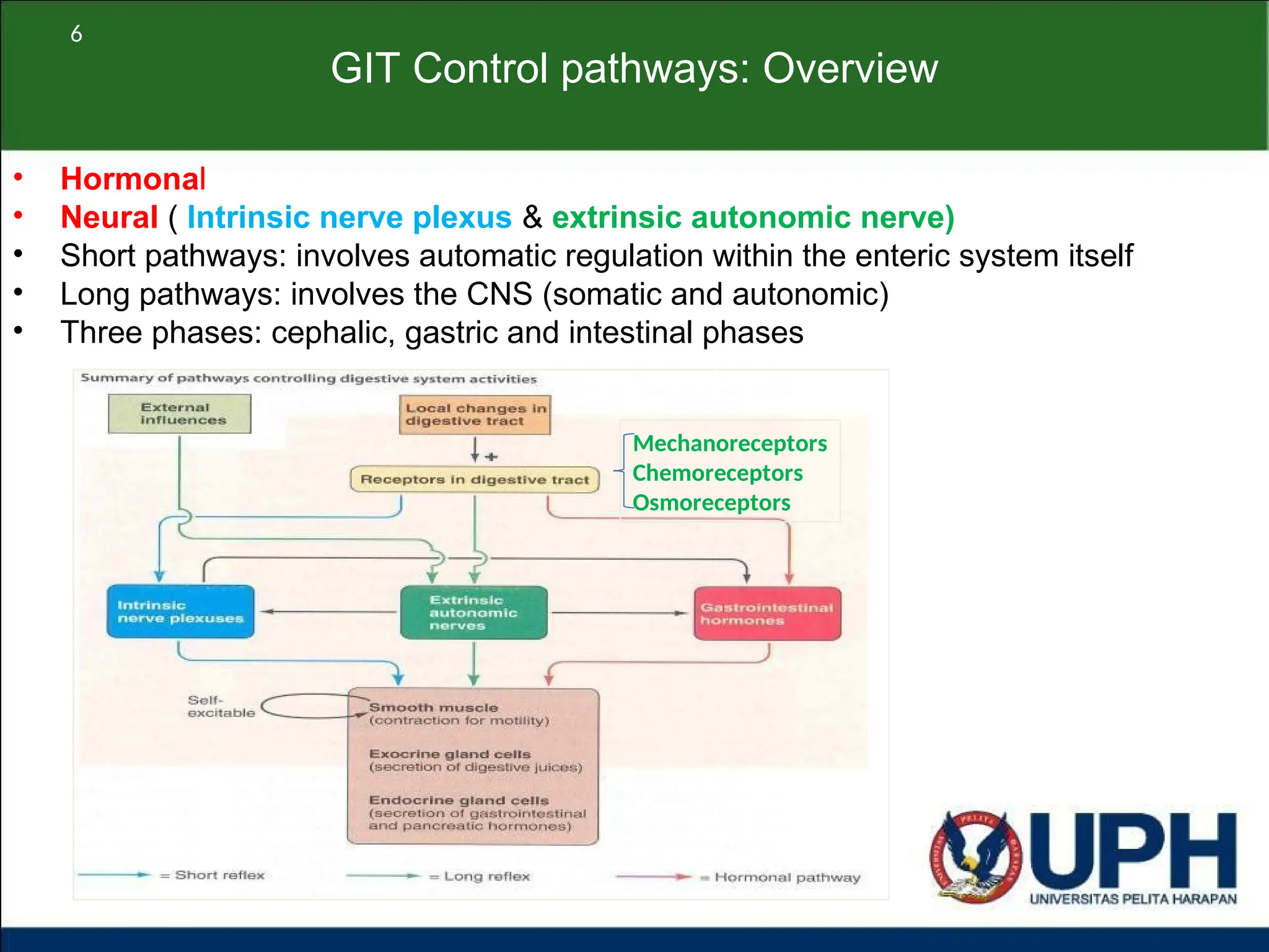 Lecture of upper Gatrointesinal tract.ppt